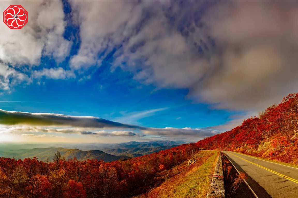 Fall Into Autumn with Feng Shui - Ms. Feng Shui | Attract Love & Wealth ...