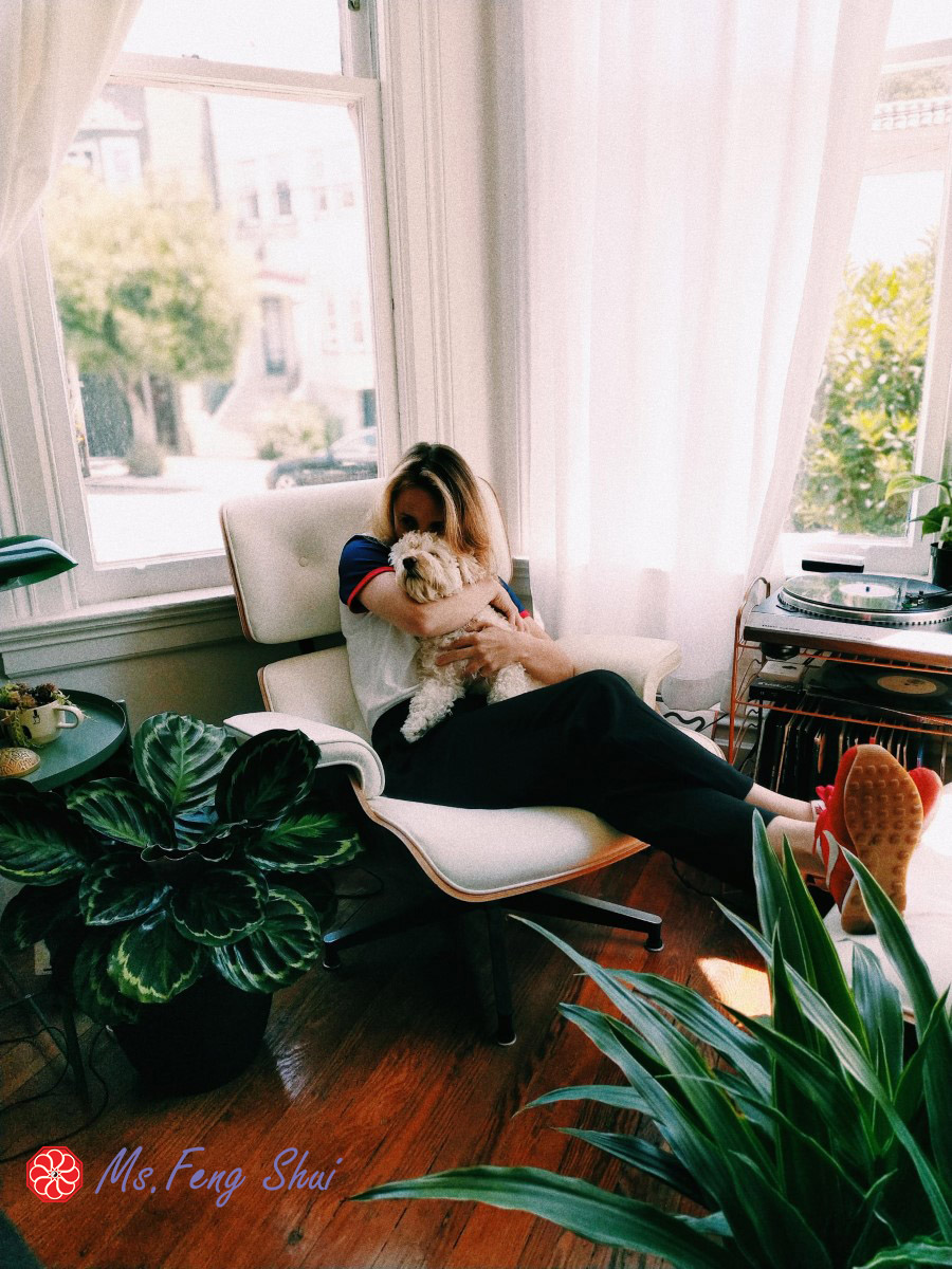 Feng Shui Tips for Studio Apartment Renters: Creating Harmony and ...